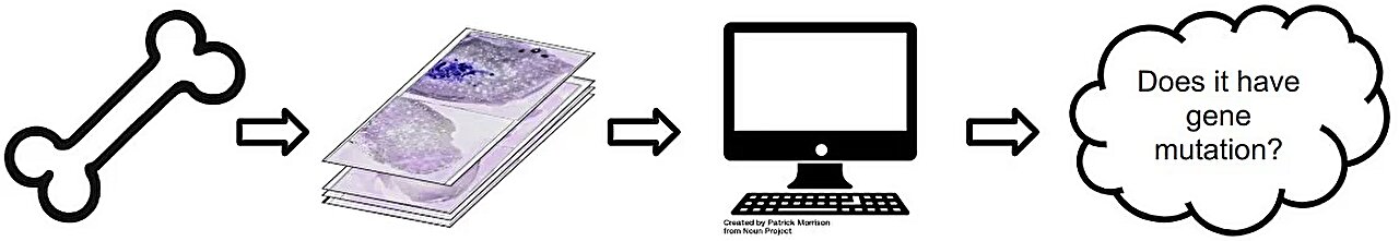 Using machine learning tools to detect gene mutations from leukemia ...