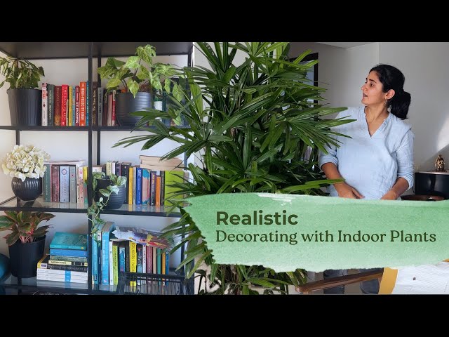 Changing the Game: Transforming My Home with Ultra-Realistic Indoor Plants!