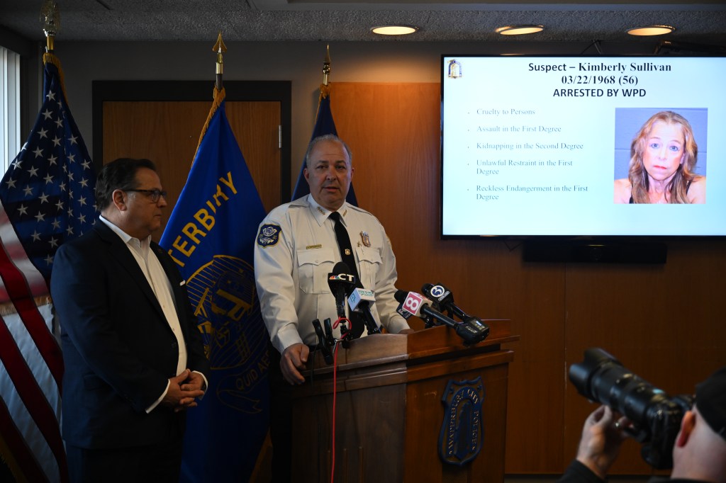 Deranged Connecticut mom who allegedly kept stepson captive for decades ...