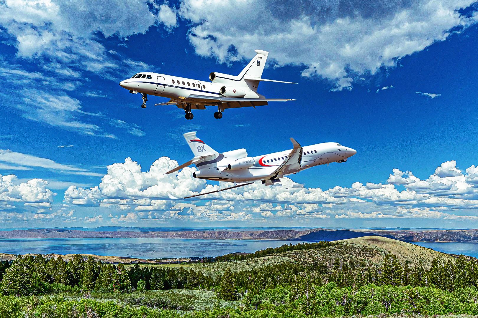 What Are The Most Popular Dassault Falcon Private Jets?