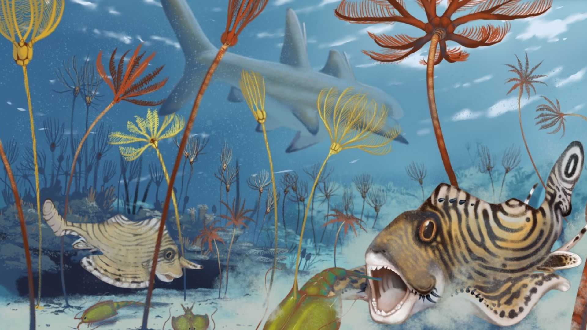 Another new shark species discovered inside Mammoth Cave fossil bed