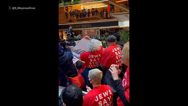 Nearly 100 protesters arrested after storming New York's Trump Tower