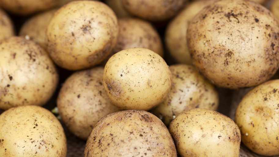 How to Wash and Store Potatoes