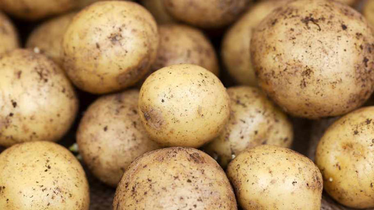 How to Wash and Store Potatoes