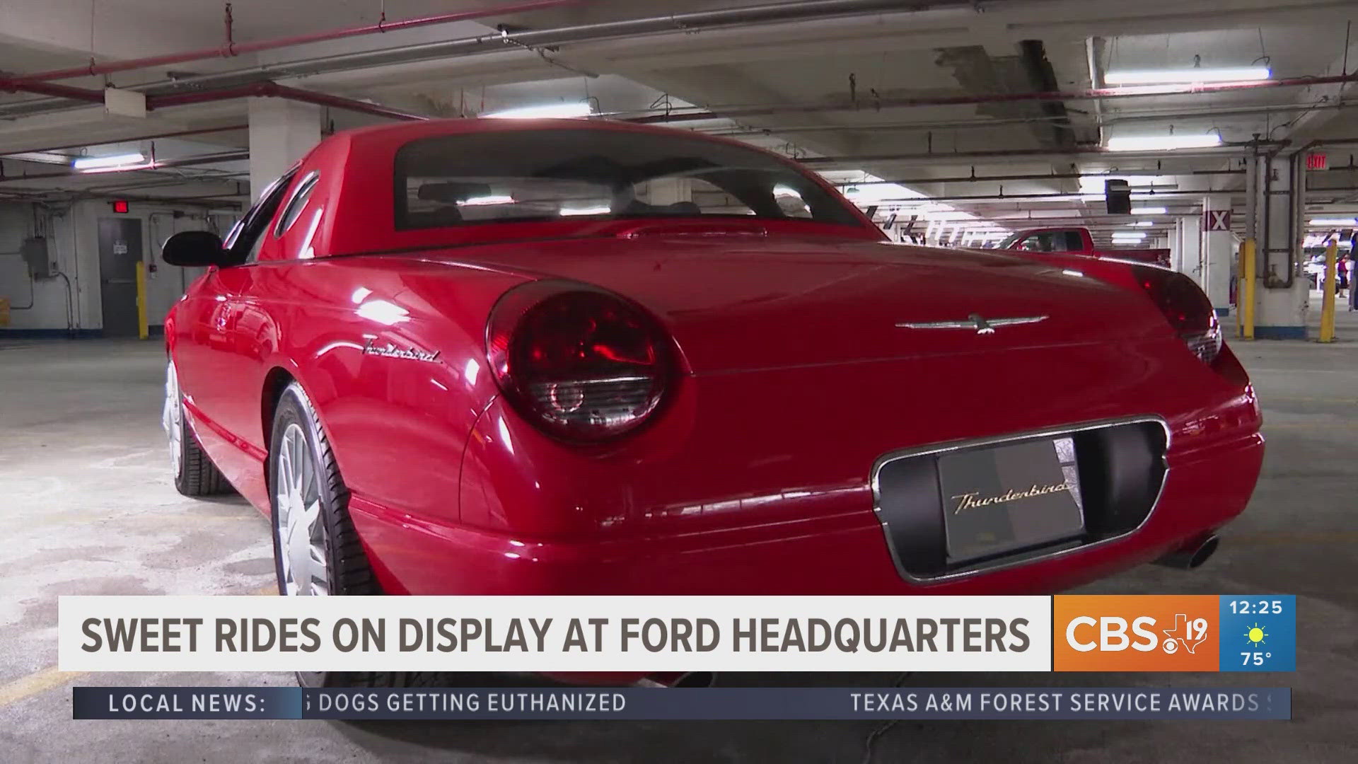 Sweet rides on display at Ford headquarters