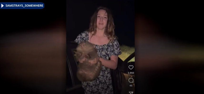 Who is Sam Jones, and why is influencer under fire for taking a baby ...