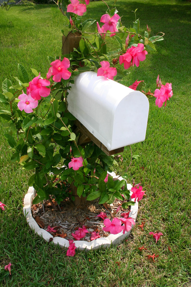 7 Mailbox Landscaping Ideas You’ll Want to Copy