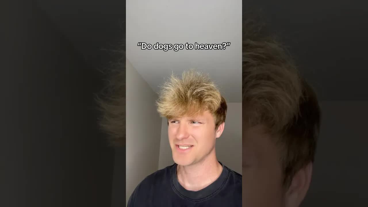 Do Dogs Go To Heaven? Bible Verse Answer