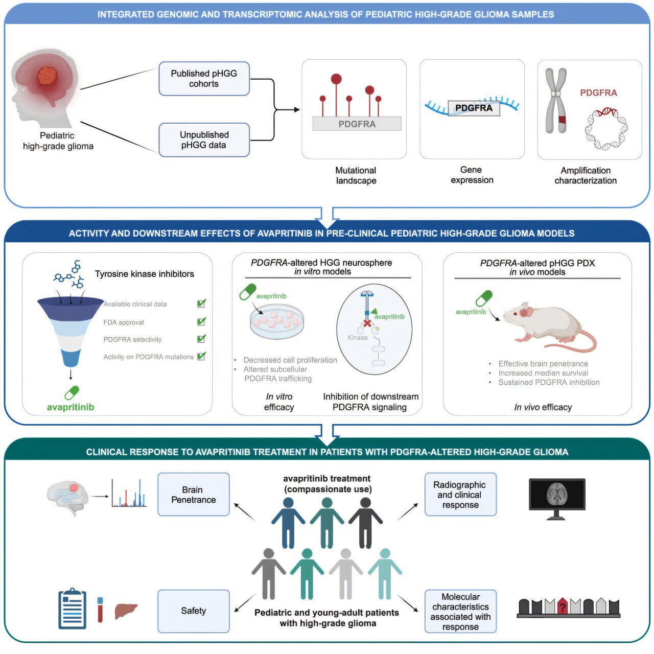 Repurposed FDA-approved drug could help treat high-grade glioma