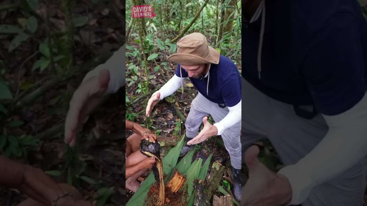 Hunting with Lost Amazon Tribe in the Jungle