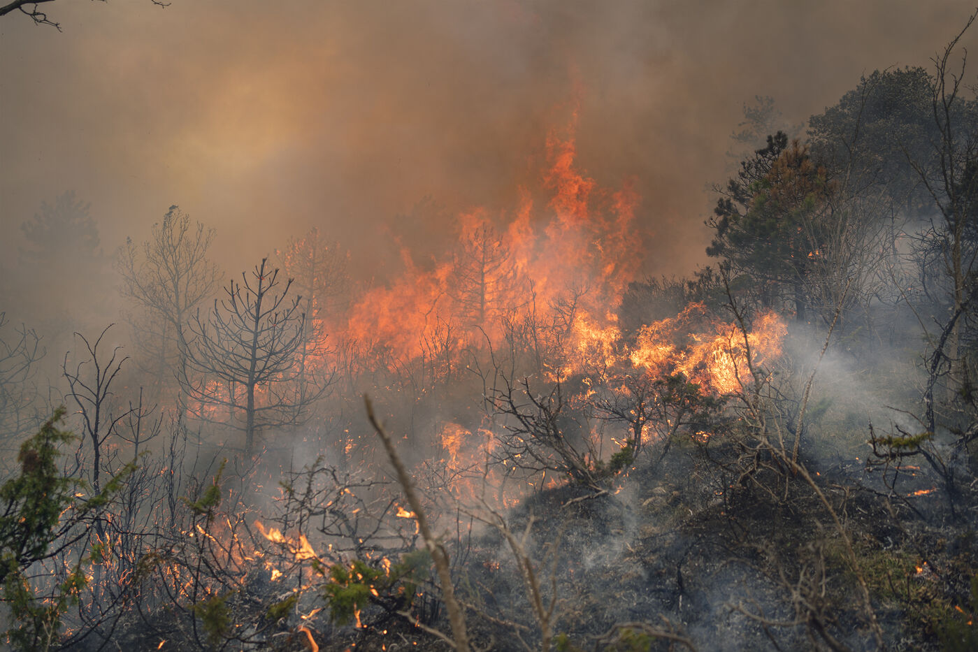 Adaptation au changement climatique : la France peut mieux faire estime ...