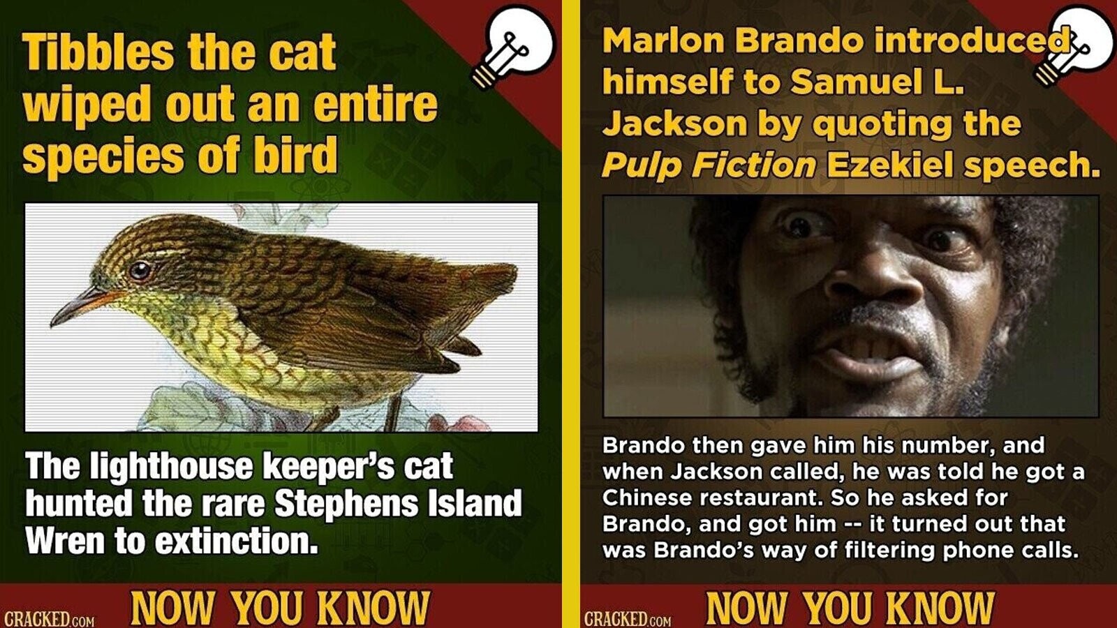 30 Fascinating Facts and Trivia Tidbits On Sale for a Limited Time Only