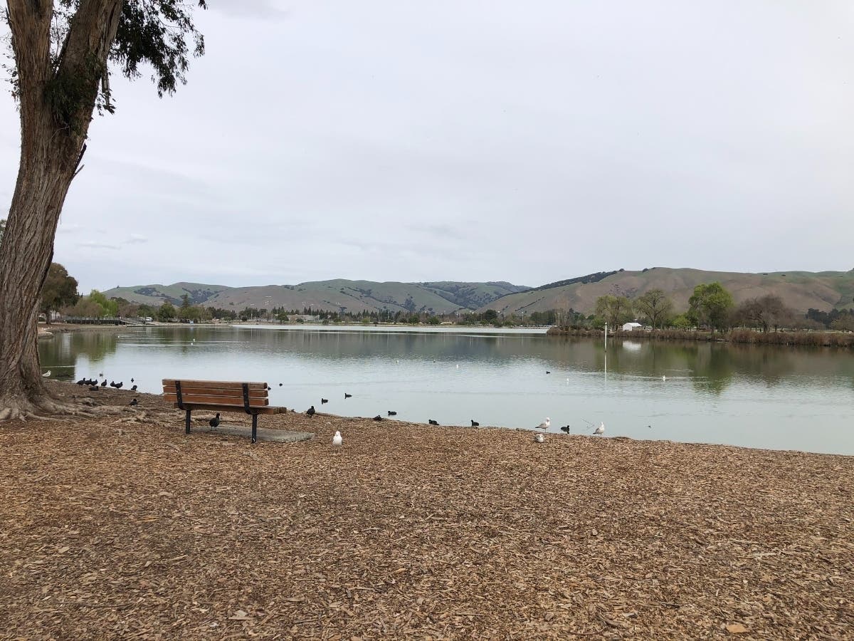 Plan To Prevent Lake Elizabeth Fish Die-Offs Approved By City Council