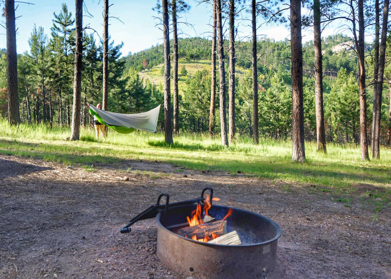 Why Blue Bell Campground is Our Favorite for Camping in Custer State Park