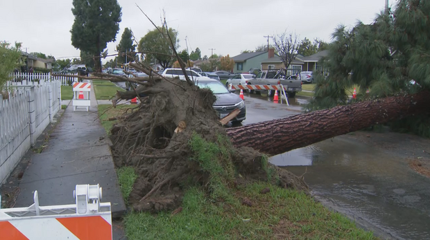 Tornado touches down in Los Angeles County overnight, damaging Pico Rivera neighborhood with EF0 ...