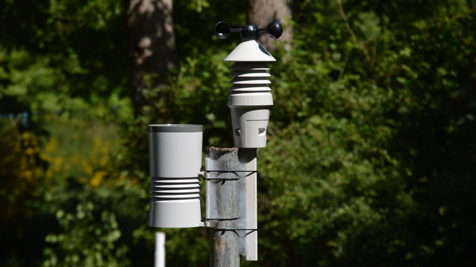 Why Every Garden Needs a Smart Weather Station