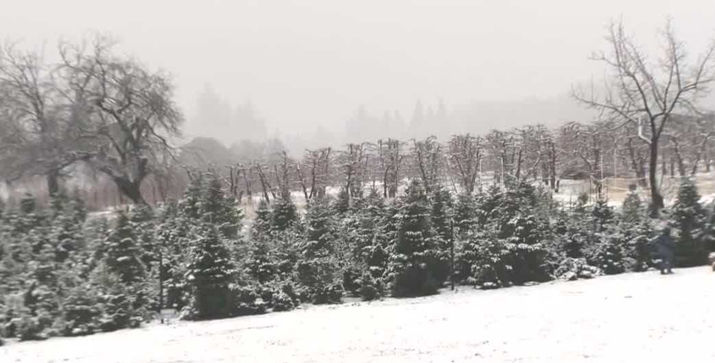 Northern California winter storm updates: Highway 50 reopens, chain ...