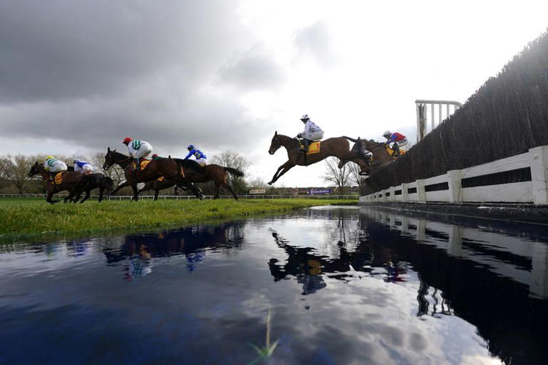 Cheltenham Festival horse dies as ITV coverage halted and statement issued