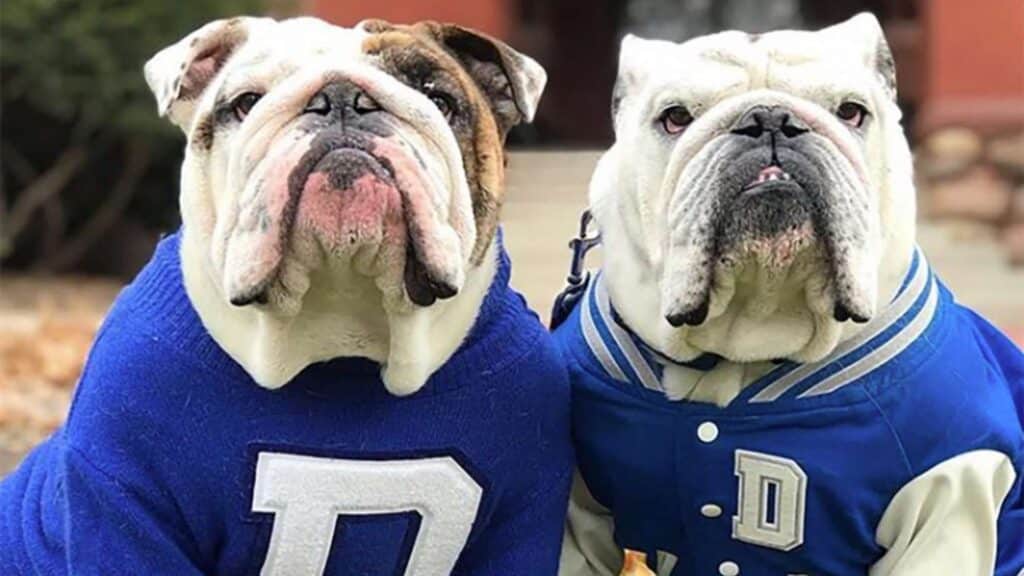 March Madness Superstitions: 10 Weird Rituals Fans Swear By