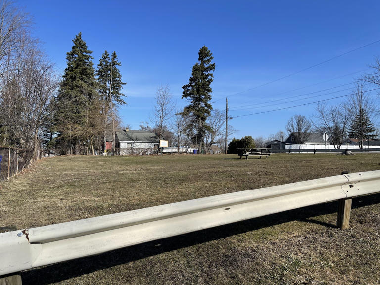 “A whole lot of not normal” – Danielle Brandon’s unconventional path to ...