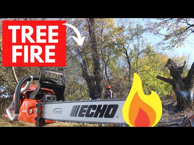 Alex cut down a flaming tree! First Impression of his ECHO CS620PW