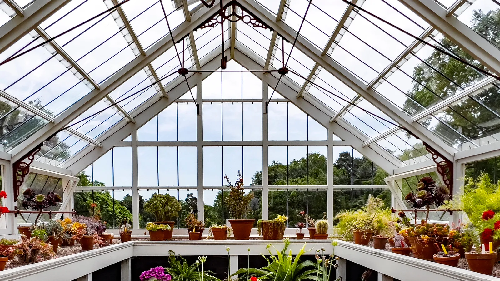 Greenhouse gardening made easy with these tips