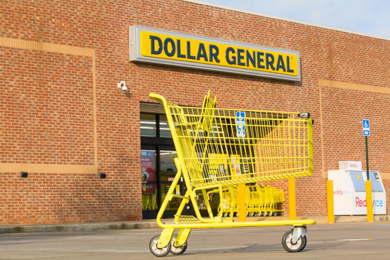 Dollar General CEO says shoppers only have enough money for 'basic ...