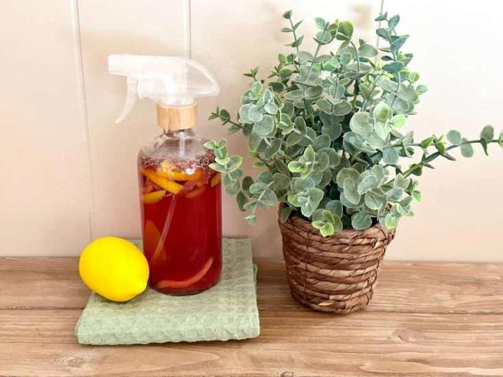 30+ Best Cleaning Supplies You Can Make