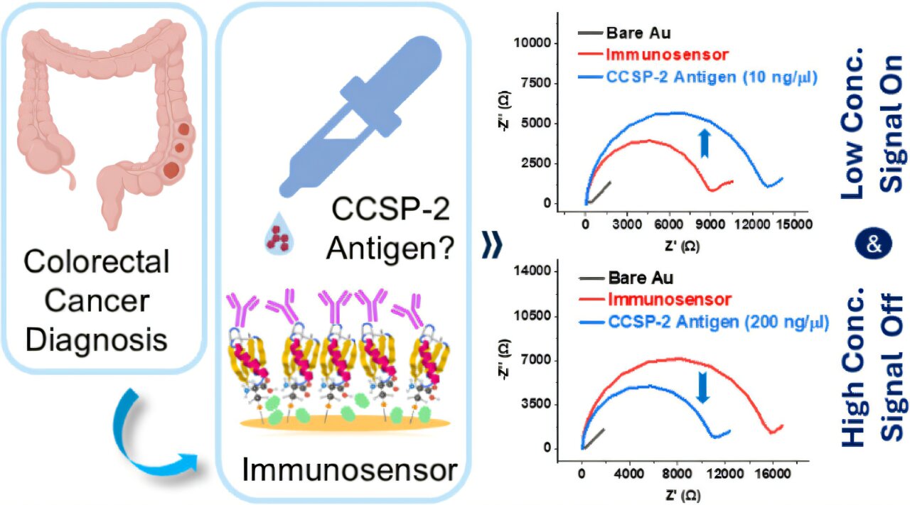 Developing portable, blood-based device that detects colon cancer
