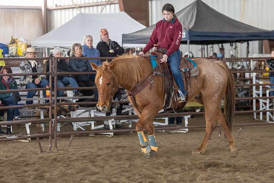 Experts giving live demonstrations at Teton Horse Experience