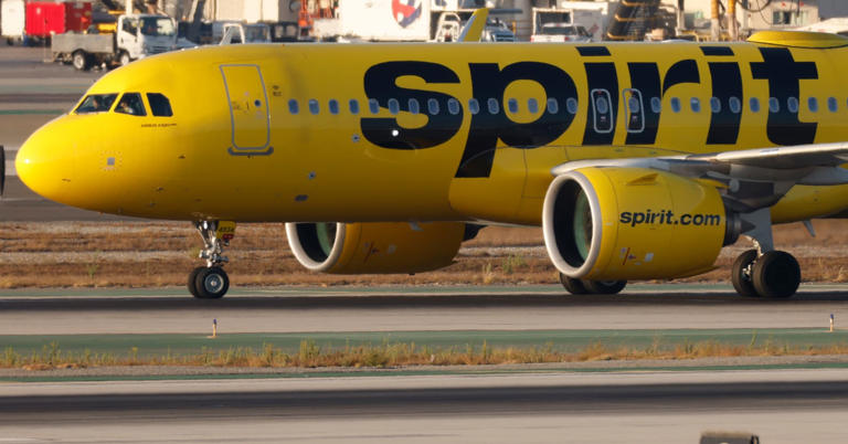 Spirit Airlines plans to slash flights, fleet in bid to emerge from ...