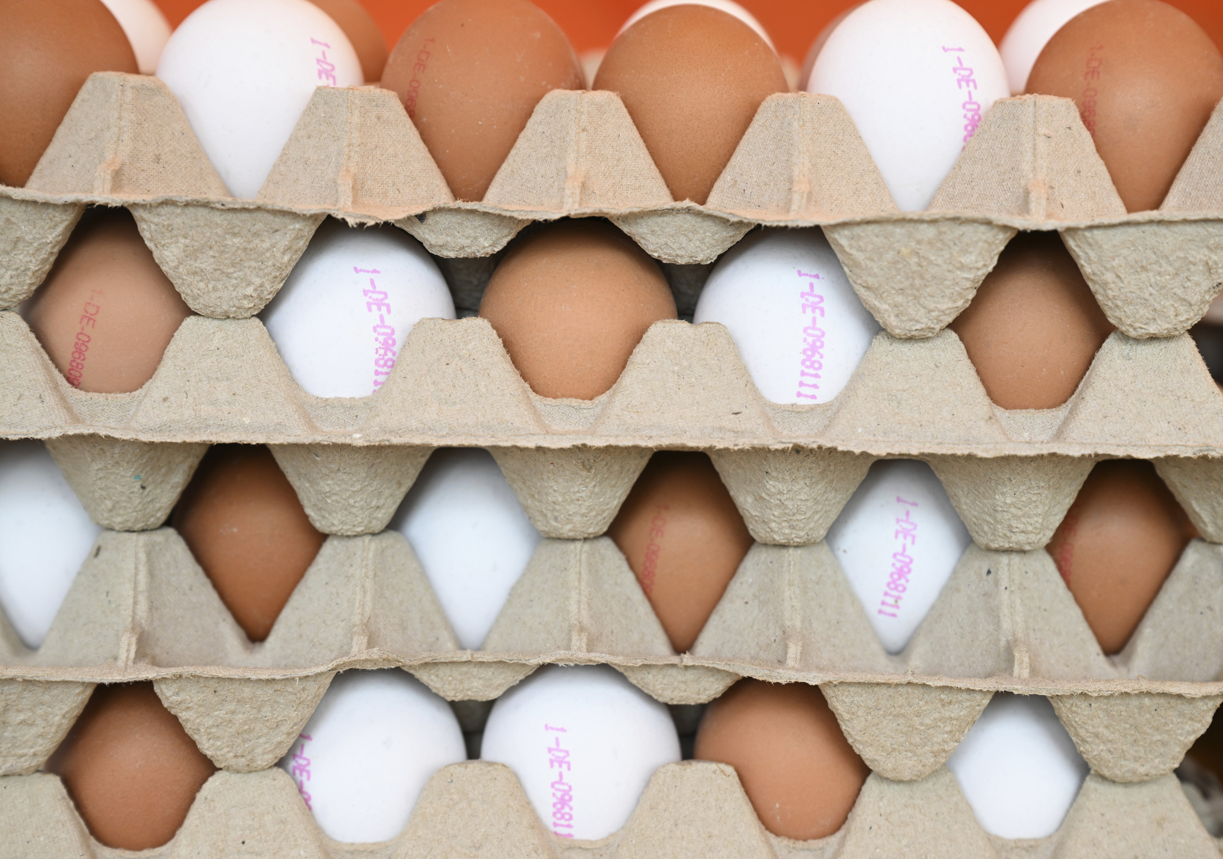 Chart Shows 2025 Egg Price Surge Wiped Out In Single Week