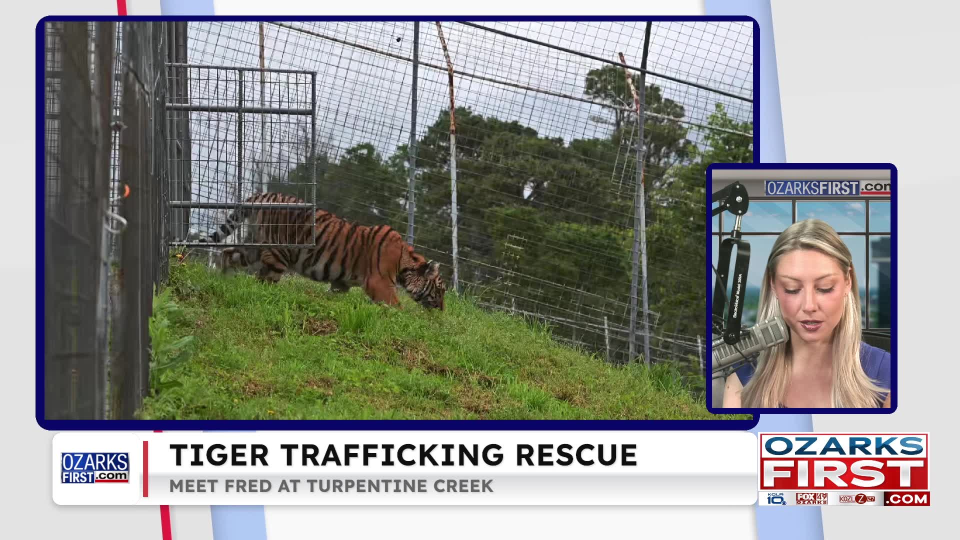 Wildlife refuge reveals details about rescued tiger