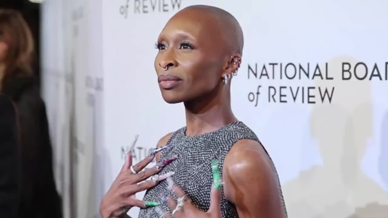 Ravinia Festival releases 2025 season lineup — Cynthia Erivo, Train ...