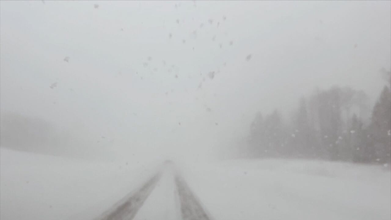 Winter wallop: Snowfall warning in effect for city of Edmonton