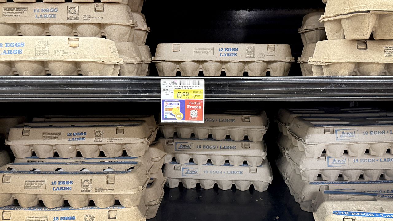 Trump says egg prices are down, but here's why eggs still cost a lot at ...