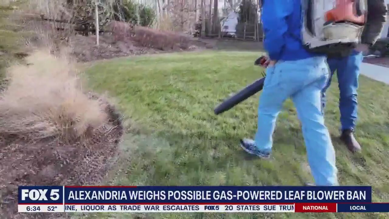 Alexandria considers ban on gas-powered leaf blowers