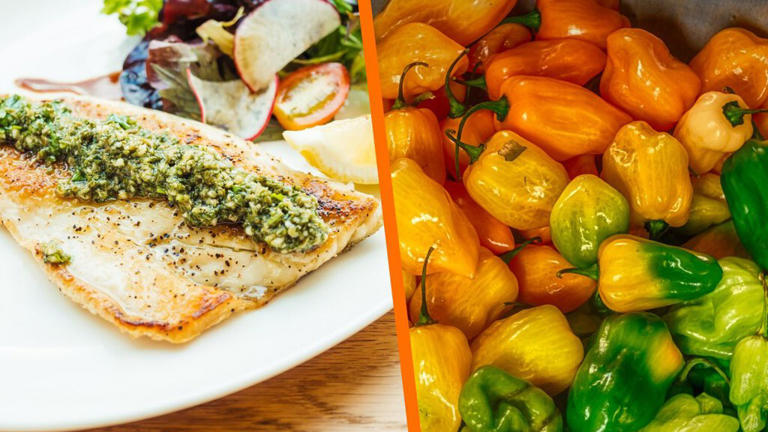 'I've Always Wanted To Come Back' - Samaje Perine Discusses Return To ...