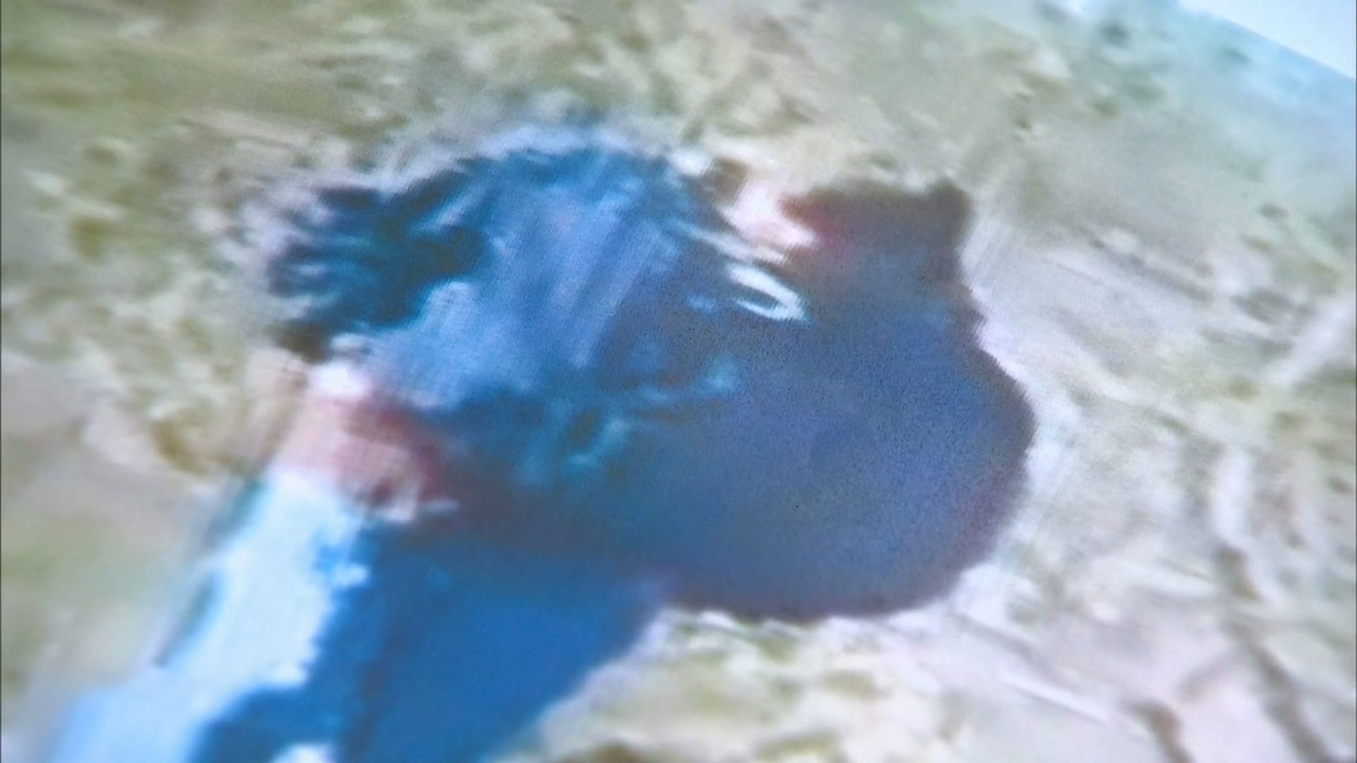 Former FBI agent analyses voices heard in Delphi Murders' ‘bridge guy ...