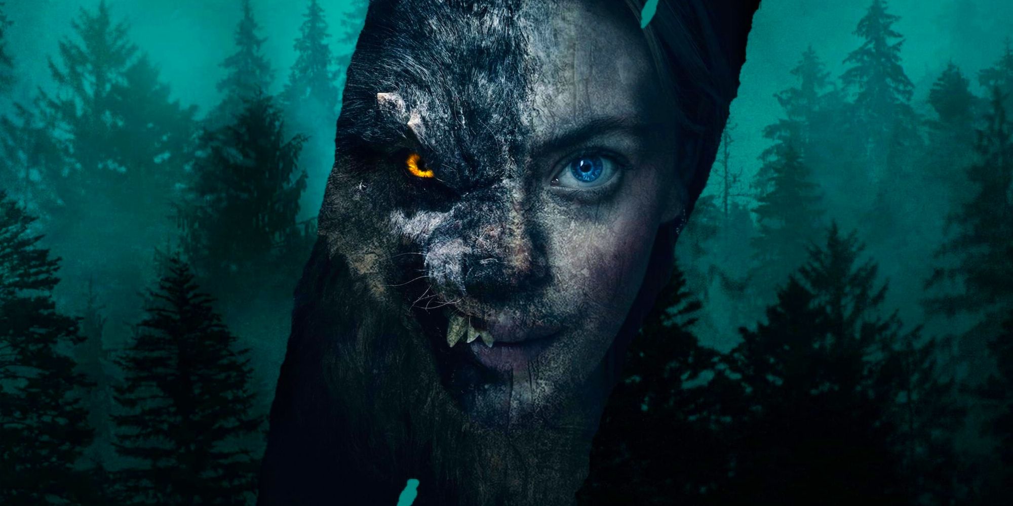 Being a Teen Wolf Ain’t All It’s Cracked Up to Be in This Dark and ...