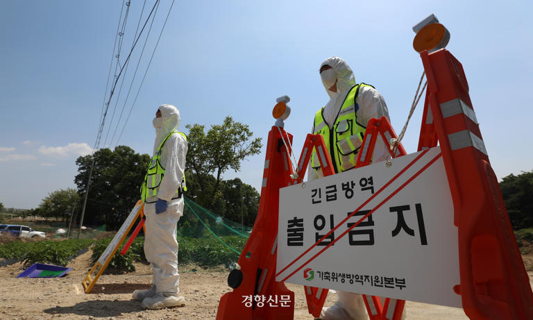 Astonishing price tag of oceanfront lot near Trump's Mar-a-Lago dubbed ...