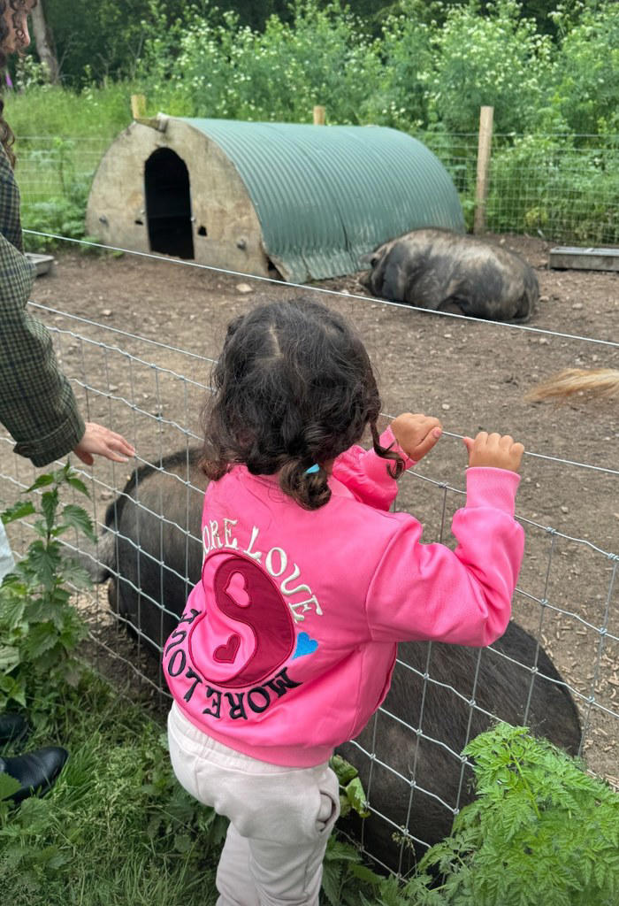 Joshua Jackson reveals 'heartbreak' behind loss of childhood home where ...