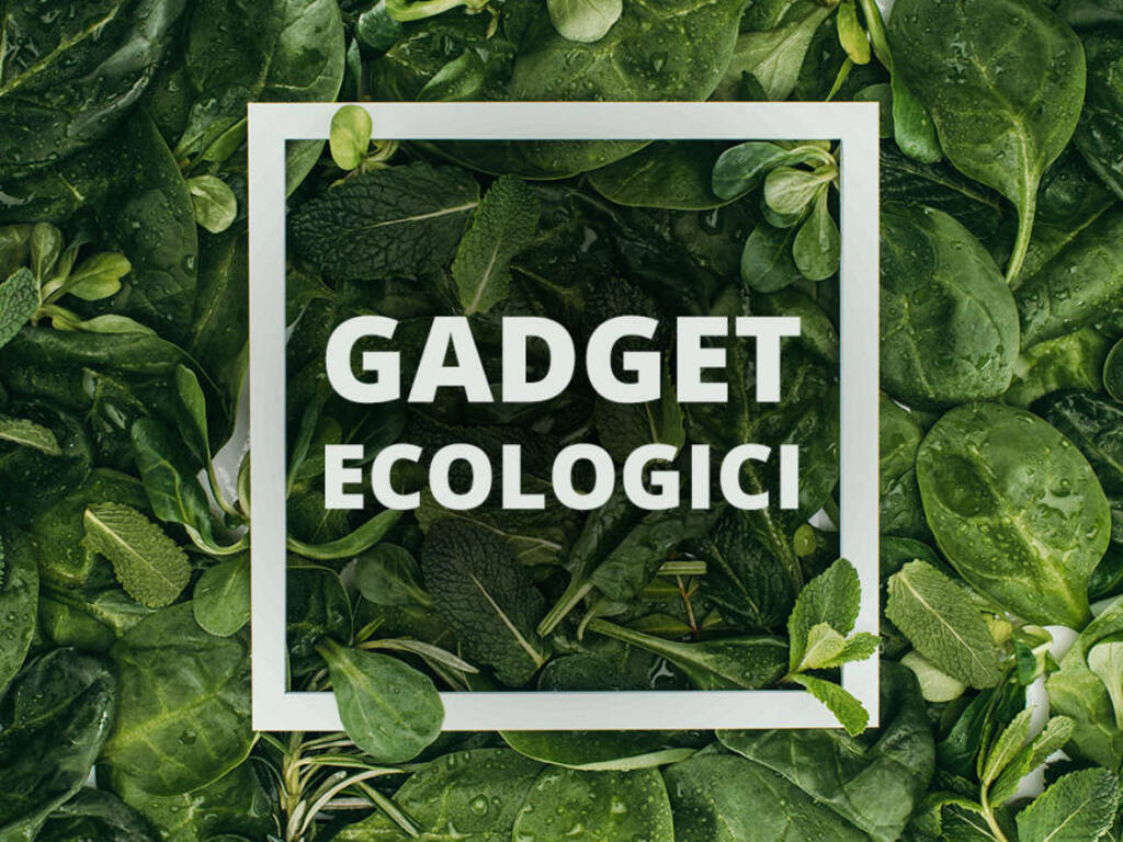 I 3 gadget ecologici più ricercati online: idee green per il tuo business