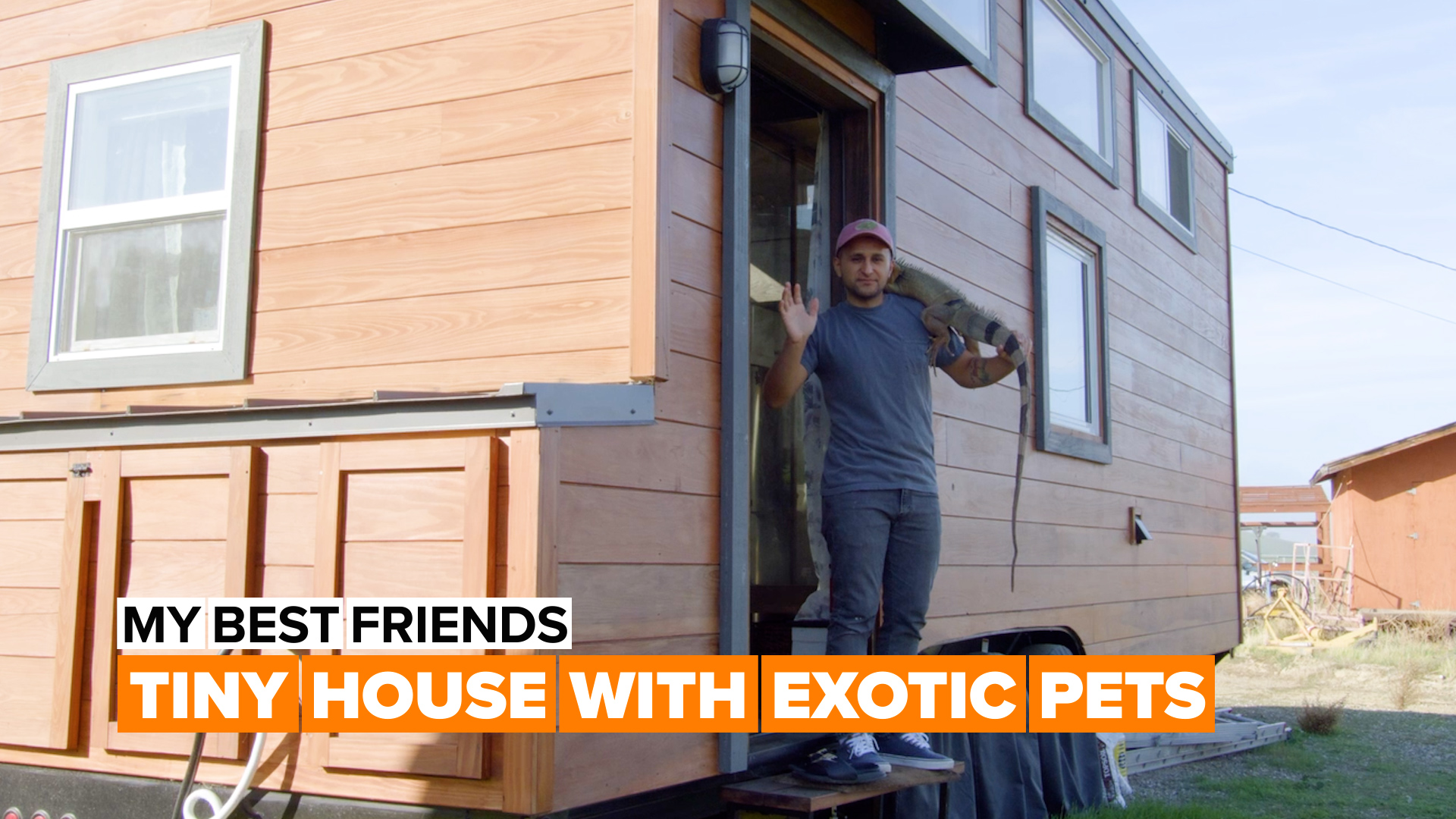 My best friends: A house never too tiny for pets
