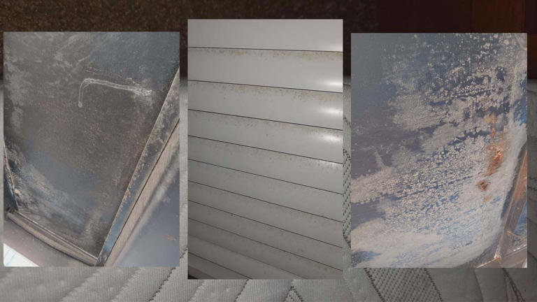 ‘So many lies’: North Charleston Camping World accused of poor operations