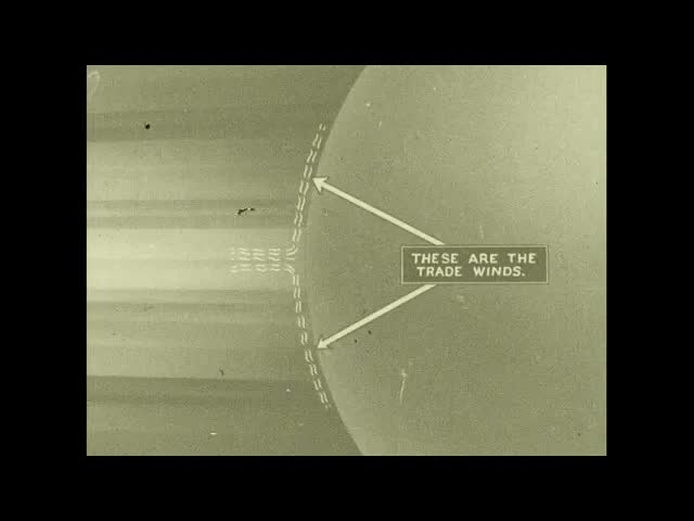 Desert Life: Camel Caravans & Marketplaces of the World