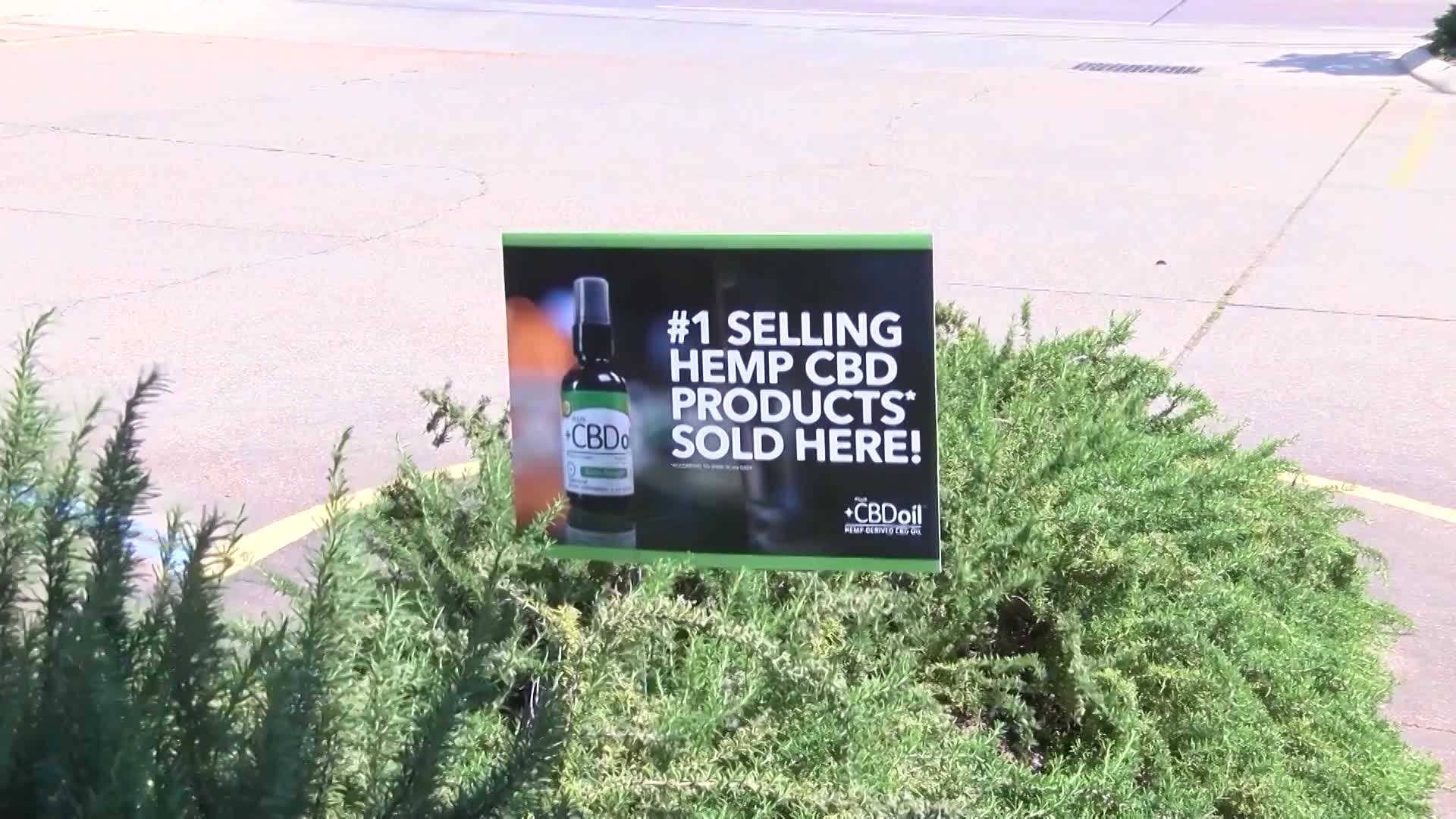 Proposed law adds criminal penalties for selling consumable hemp to ...