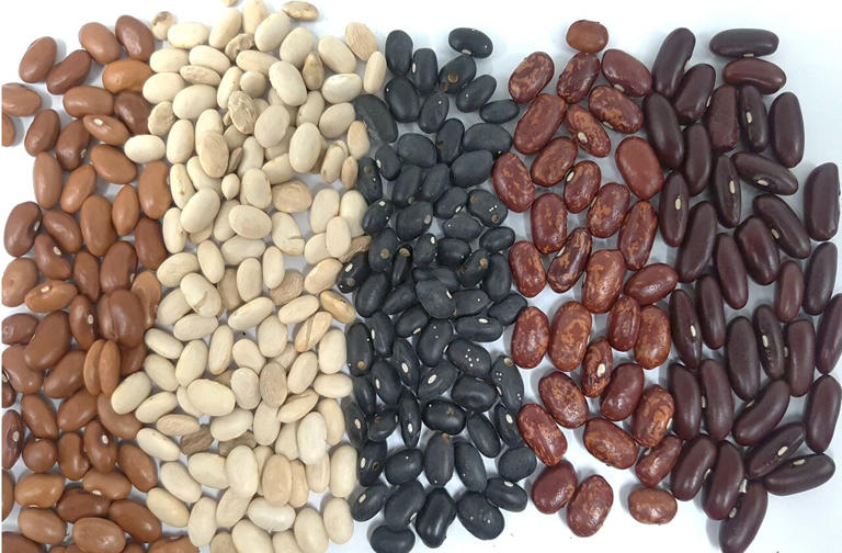 The superpower of beans: Resilient, nutritious and ready for climate change