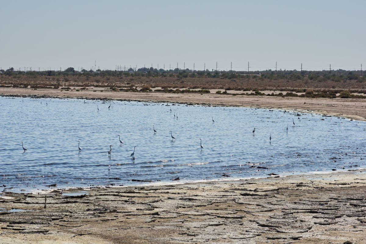 California’s Largest Lake Is Disappearing—why It Matters More Than You ...