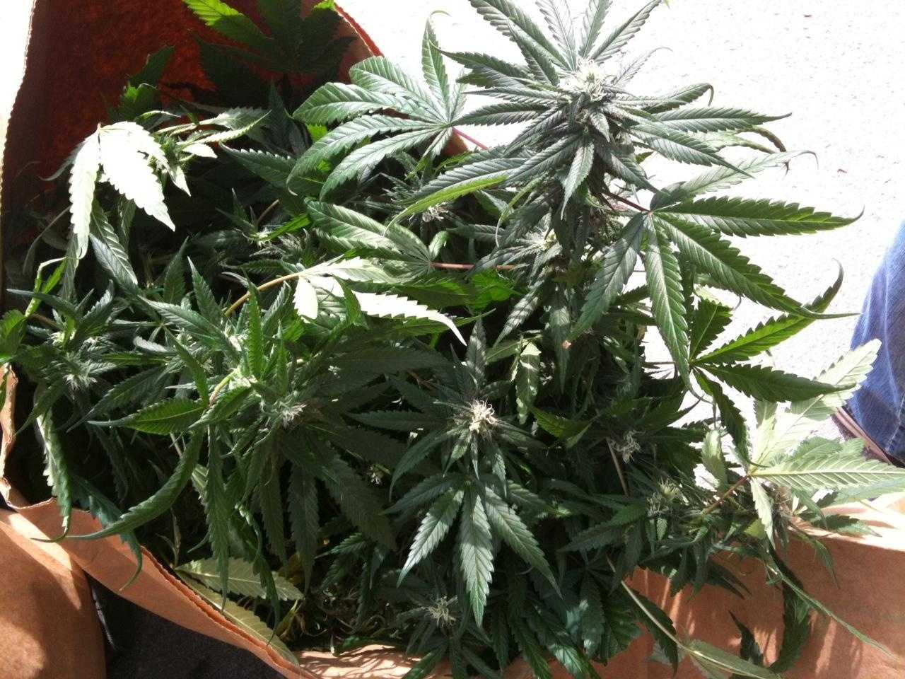 Independence City Council to vote Jan. 20 on banning recreational ...